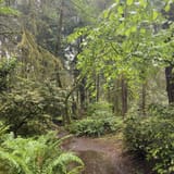 Point Defiance Park Outer Loop, Washington - 4,108 Reviews, Map | AllTrails