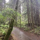 Point Defiance Park Outer Loop, Washington - 4,182 Reviews, Map | AllTrails