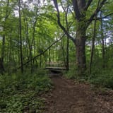 Waterloo-Pinckney Trail, Michigan - 497 Reviews, Map | AllTrails