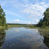 Waterloo-Pinckney Trail, Michigan - 497 Reviews, Map | AllTrails