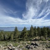 Tahoe Rim Trail to Picnic Rock Viewpoint, California - 3,401 Reviews, Map | AllTrails