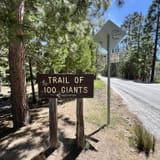 Trail of 100 Giants, California - 853 Reviews, Map | AllTrails