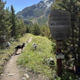 East Rosebud Trail to Elk Lake, Montana - 536 Reviews, Map | AllTrails