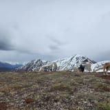 Mount Eklutna via Peters Creek Valley Trail, Alaska - 298 Reviews, Map ...