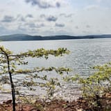 Nottely Reservoir Trail, Georgia - 1,079 Reviews, Map | AllTrails