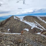 Mount Eklutna via Peters Creek Valley Trail, Alaska - 298 Reviews, Map ...