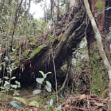 Gunung Rajah via KKB, Selangor, Malaysia - 74 Reviews, Map | AllTrails