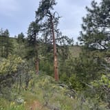 Manastash Ridge Trail, Washington - 680 Reviews, Map | AllTrails