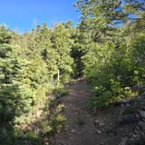 Cheyenne Mountain via Talon and Dixon Trail, Colorado - 819 Reviews ...