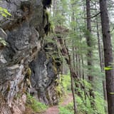 Silver Falls Loop, Washington - 2,921 Reviews, Map | AllTrails