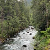 Silver Falls Loop, Washington - 2,921 Reviews, Map | AllTrails