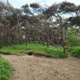 Formby Beach and Woodland Circular, Merseyside, England - 109 Reviews ...
