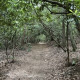 Explorer Loop, North Carolina - 447 Reviews, Map | AllTrails