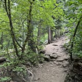 Adams Canyon Trail, Utah - 7,314 Reviews, Map | AllTrails