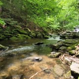 Echo Lake, New York - 480 Reviews, Map | AllTrails