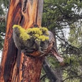 Red Rock Point via Red Point Trail, Montana - 486 Reviews, Map | AllTrails