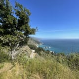 Tanbark Trail and Tin House Loop, California - 1,411 Reviews, Map ...