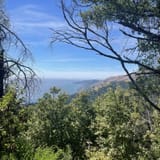 Tanbark Trail and Tin House Loop, California - 1,411 Reviews, Map ...