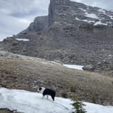 West Wind Pass Trail, Alberta, Canada - 2,398 Reviews, Map | AllTrails