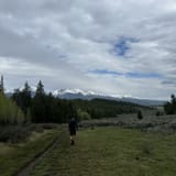 Meadow Loop and Ridge Trail, Colorado - 3,406 Reviews, Map | AllTrails