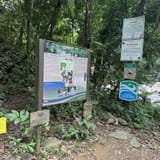 Angelito Trail, East Region, Puerto Rico - 656 Reviews, Map | AllTrails