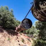 Tamaroo Bar Trail, California - 727 Reviews, Map | AllTrails