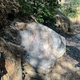 Tamaroo Bar Trail, California - 727 Reviews, Map | AllTrails