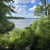 Bloodroot Trail, Indiana - 713 Reviews, Map | AllTrails