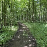 Bloodroot Trail, Indiana - 713 Reviews, Map | AllTrails