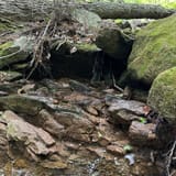 Goodnow Mountain Trail, New York - 1,326 Reviews, Map | AllTrails