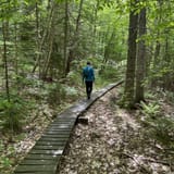 Goodnow Mountain Trail, New York - 1,326 Reviews, Map | AllTrails