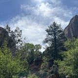 Middle Fork Taylor Creek Trail, Utah - 3,426 Reviews, Map | AllTrails