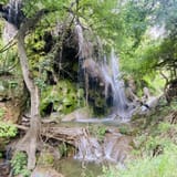 Gorman Falls Trail, Texas - 1,125 Reviews, Map | AllTrails