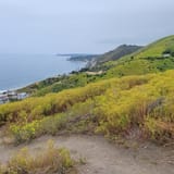 Corral Canyon Loop, California - 1,862 Reviews, Map | AllTrails