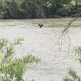 Link River Trail, Oregon - 559 Reviews, Map | AllTrails