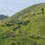 Corral Canyon Loop, California - 1,862 Reviews, Map | AllTrails