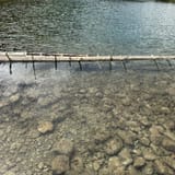 Mount Lorette Pond Trail, Alberta, Canada - 235 Reviews, Map | AllTrails