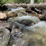 Grotto Falls Trail, Utah - 923 Reviews, Map | AllTrails