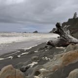 Kalaloch 4th Beach Trail, Washington - 452 Reviews, Map | AllTrails