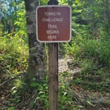 Torreya Challenge, Florida - 234 Reviews, Map | AllTrails