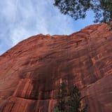 Middle Fork Taylor Creek Trail, Utah - 3,426 Reviews, Map | AllTrails