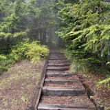 Sherrard Point , Oregon - 192 Reviews, Map | AllTrails