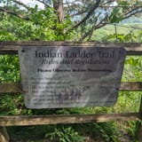 Indian Ladder Trail, New York - 910 Reviews, Map | AllTrails