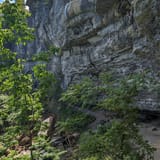 Indian Ladder Trail, New York - 910 Reviews, Map | AllTrails