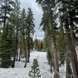 Mount Judah Loop Trail, California - 2,333 Reviews, Map | AllTrails