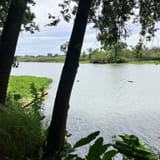 The Meadows Slough Trail, California - 449 Reviews, Map | AllTrails