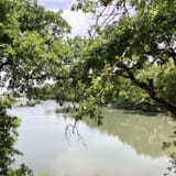 The Meadows Slough Trail, California - 449 Reviews, Map | AllTrails