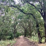 The Meadows Slough Trail, California - 449 Reviews, Map | AllTrails