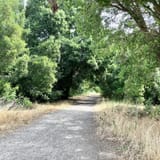 The Meadows Slough Trail, California - 440 Reviews, Map | AllTrails