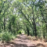 The Meadows Slough Trail, California - 449 Reviews, Map | AllTrails